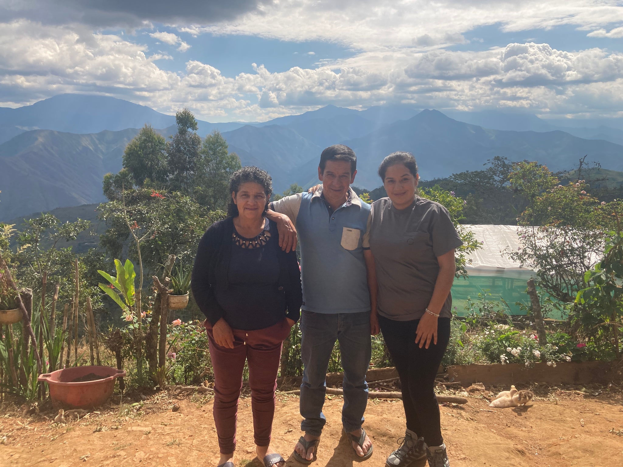 Shop Coffee | Huckleberry Roasters