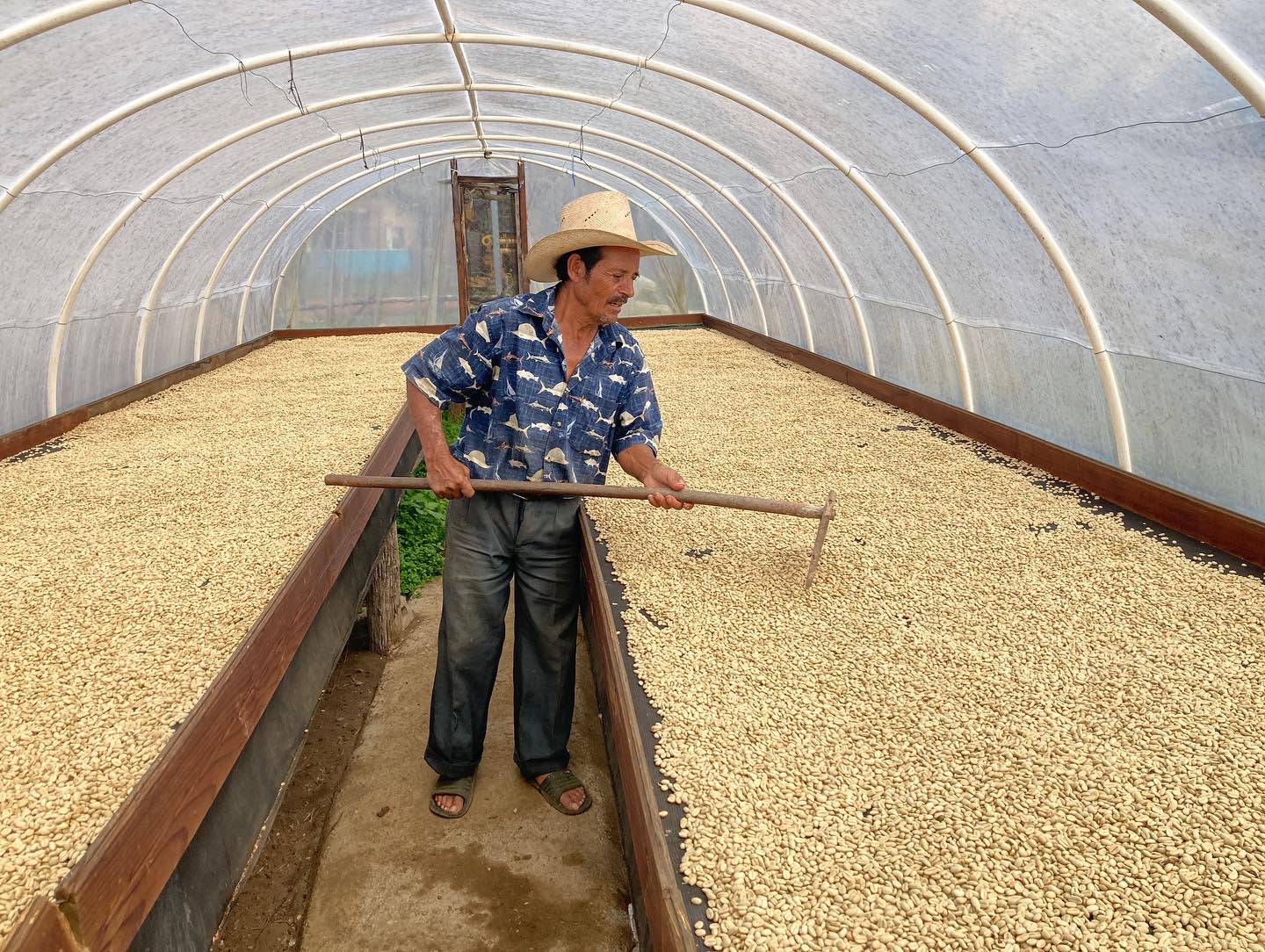 Denver Colorado Coffee Roasters