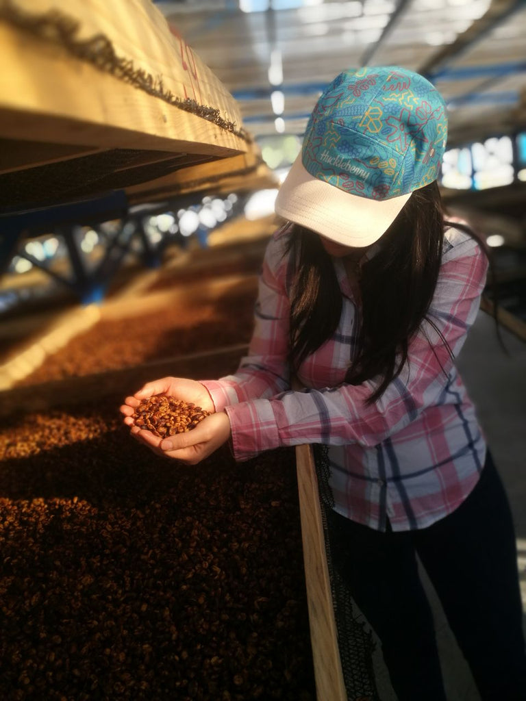 Single Origin - Huckleberry Roasters